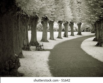 Memory Lane Stock Photo 51642 | Shutterstock
