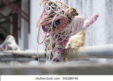 2,168 Cats mess Images, Stock Photos & Vectors | Shutterstock