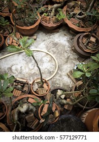 12,206 Messy garden Images, Stock Photos & Vectors | Shutterstock