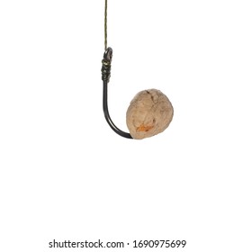 239 Putting worm on a hook Images, Stock Photos & Vectors | Shutterstock