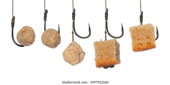 Bait Fishing How Hook Maggots Stock Photo 1836069658 | Shutterstock
