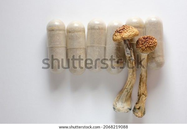Micro Dosing Concept Dry Psilocybin Mushrooms Stock Photo 2068219088 ...