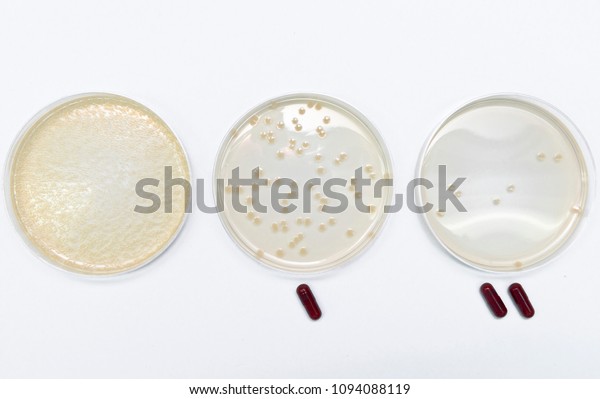 Microbiological Experiments Antibiotics Development Using Superbacteria ...