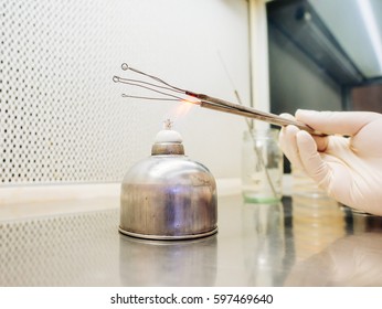 2,788 Alcohol burner Images, Stock Photos & Vectors | Shutterstock