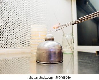 Alcohol Burner Test Tube Rackscience Laboratory Stock Photo (Edit Now ...