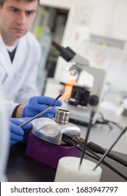466 Inoculating loop Images, Stock Photos & Vectors | Shutterstock