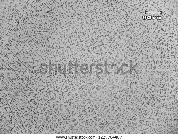 Micrograph Dendritic Microstructure Stainless Steel Weld Stock Photo ...