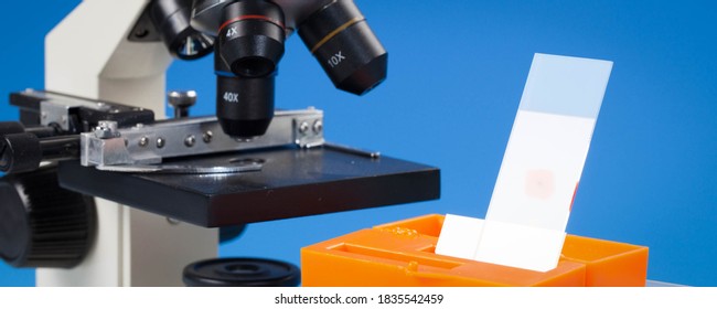 Microscope Slider Science Lab Stock Photo 1835542459 | Shutterstock
