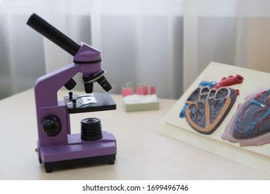 Microscope Study Creation Licorice Stock Photo 1699496746 | Shutterstock