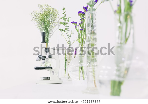 Microscope Test Tubes Glass Containers Clamp Stock Photo 721937899 ...