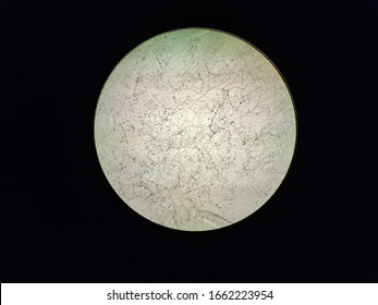 Microscope View Dermatophyte Isolated Human Skin ภาพสต็อก 1662223957 ...