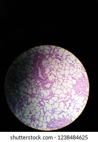 Microscope View Respiratory System Stock Photo 1238484625 | Shutterstock