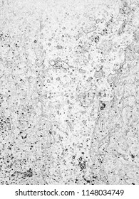 Microscopic View Curd Seen Microscope Lactobacillus Stock Photo (Edit ...