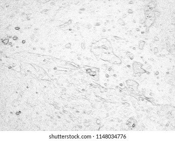 Microscopic View Curd Seen Microscope Lactobacillus Stock Photo ...