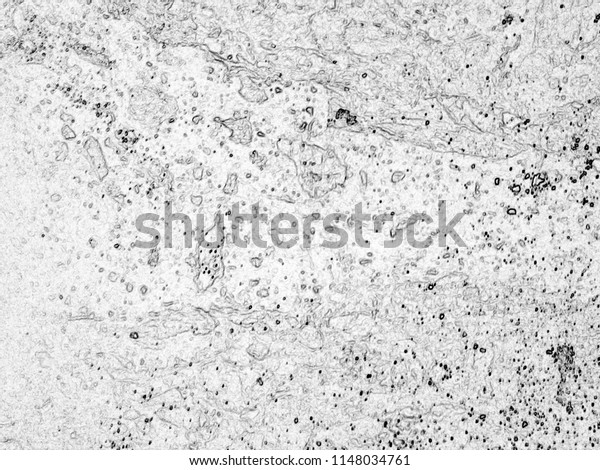 Microscopic View Curd Seen Microscope Lactobacillus Stock Photo (Edit ...
