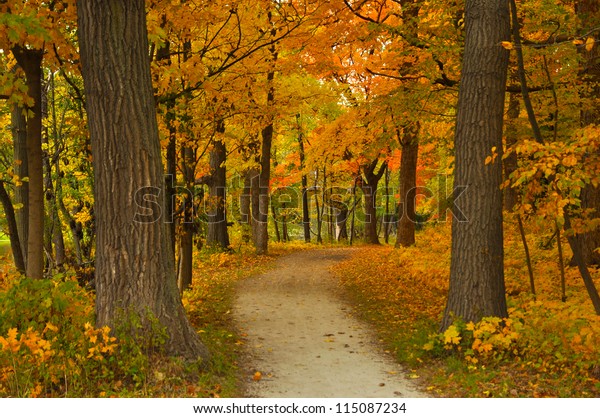 Midwest Forest Fall Stock Photo (Edit Now) 115087234