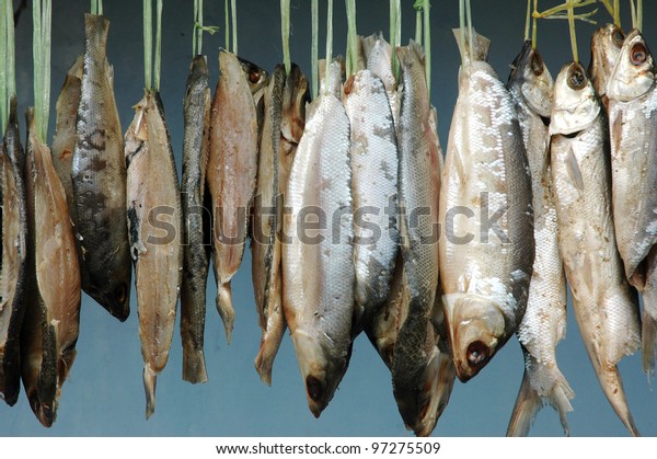 Milkfish Being Hung Drying Process Stock Photo 97275509 | Shutterstock