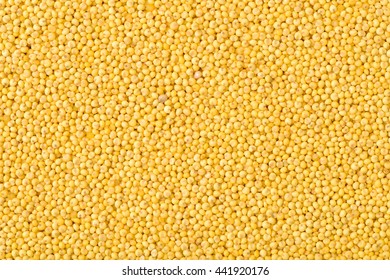 Millet Background Stock Photo 441920176 | Shutterstock