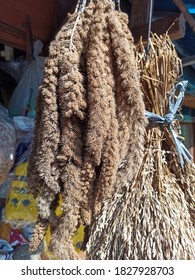 1,123 Canary millet seeds Images, Stock Photos & Vectors | Shutterstock
