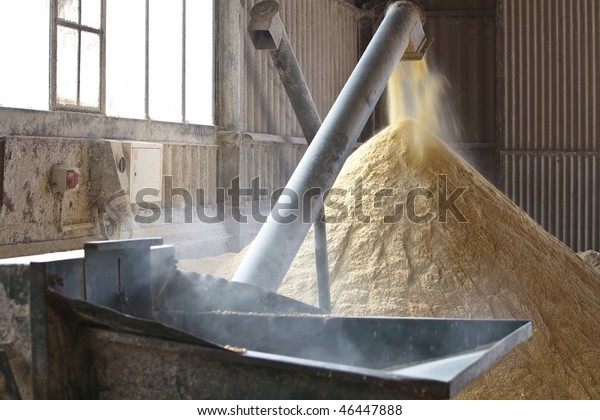 「Milling Corn Cattle Feed Inside Large」の写真素材（今すぐ編集） 46447888