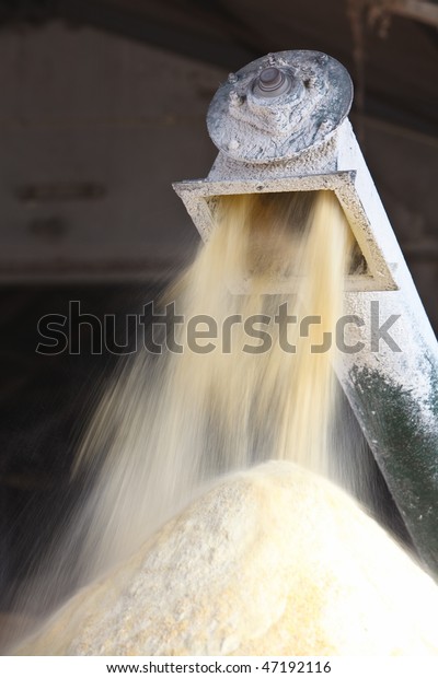 Milling Corn Cattle Feed Inside Large Stock Photo 47192116 | Shutterstock
