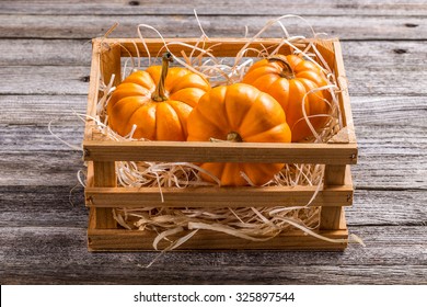 Mini Decorative Pumpkins Crate Stock Photo 325897544 | Shutterstock