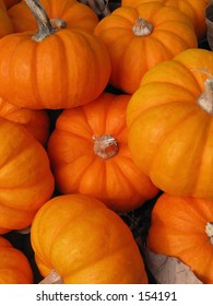 Mini Pumpkins Stock Photo 154191 | Shutterstock