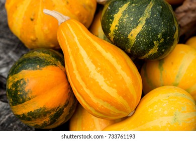 Mini Pumpkins Background Stock Photo 733761193 | Shutterstock