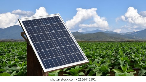 612 Mini solar panel Images, Stock Photos & Vectors | Shutterstock