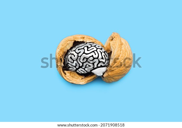 12,261 Nutshell Concept Images, Stock Photos & Vectors | Shutterstock