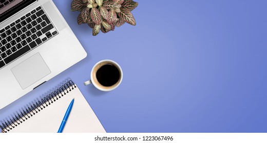 Work Space Blue Background Tropical Leaf Stock Photo 1152914039 ...