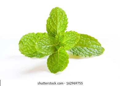 2,756 Menthol icon Images, Stock Photos & Vectors | Shutterstock