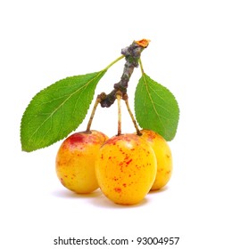 Mirabelle fruit : 4 036 photos et images de stock | Shutterstock