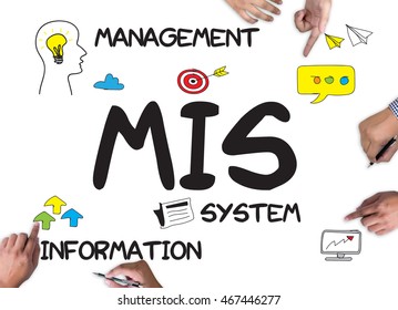 204 Mis system Images, Stock Photos & Vectors | Shutterstock
