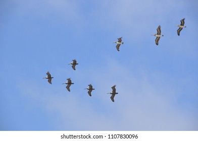 Missing man formation 37 รายการ ภาพ ภาพสต็อกและเวกเตอร์ | Shutterstock
