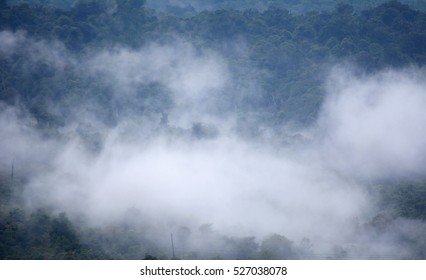 Mist Background Stock Photo 527038078 | Shutterstock