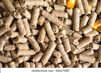 Photo de stock Mixed Fodder Pellets 636312365 | Shutterstock