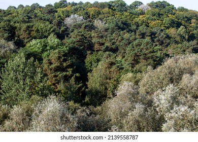13,013 Mixed deciduous forest Images, Stock Photos & Vectors | Shutterstock