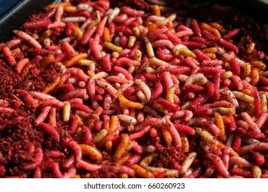 Mixed Maggots Stock Photo 660260923 | Shutterstock