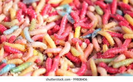 272件の「Mixed maggots」の画像、写真素材、ベクター画像 | Shutterstock