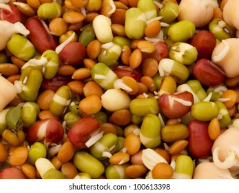 2,008 Sprouting pulses Images, Stock Photos & Vectors | Shutterstock