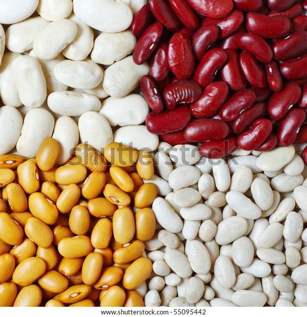 Mixture Four Different Types Colors Beans Stock Photo (Edit Now) 55095442