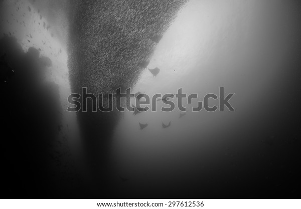 Mob Ula Ray Tornado Stock Photo 297612536 | Shutterstock