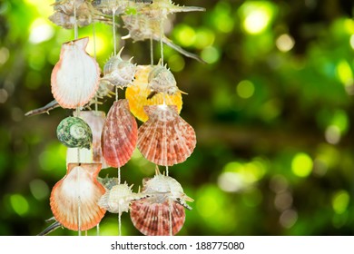 Mobile Made Various Shells Stock Photo 188775080 | Shutterstock