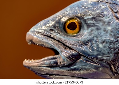 14,218 Fish profile Images, Stock Photos & Vectors | Shutterstock