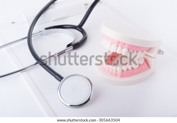 Model Teeth Stethoscope Stock Photo 305663504 | Shutterstock