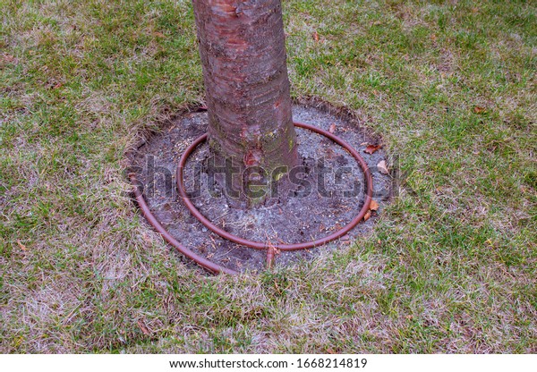 Modern Drip System Tree Park Stock Photo 1668214819 | Shutterstock