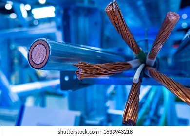 318 imágenes de Steel cable cross section - Imágenes, fotos y vectores ...