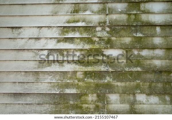 Mold Mildew On Side House Dirty Stock Photo 2155107467 | Shutterstock