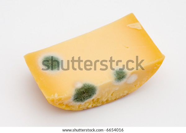 Mold On Cheese Stock Photo 6654016 | Shutterstock